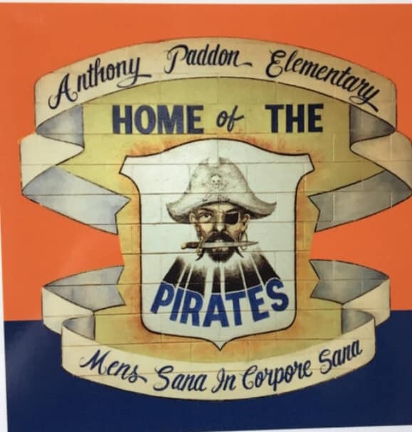 Anthony Paddon Elementary Profile